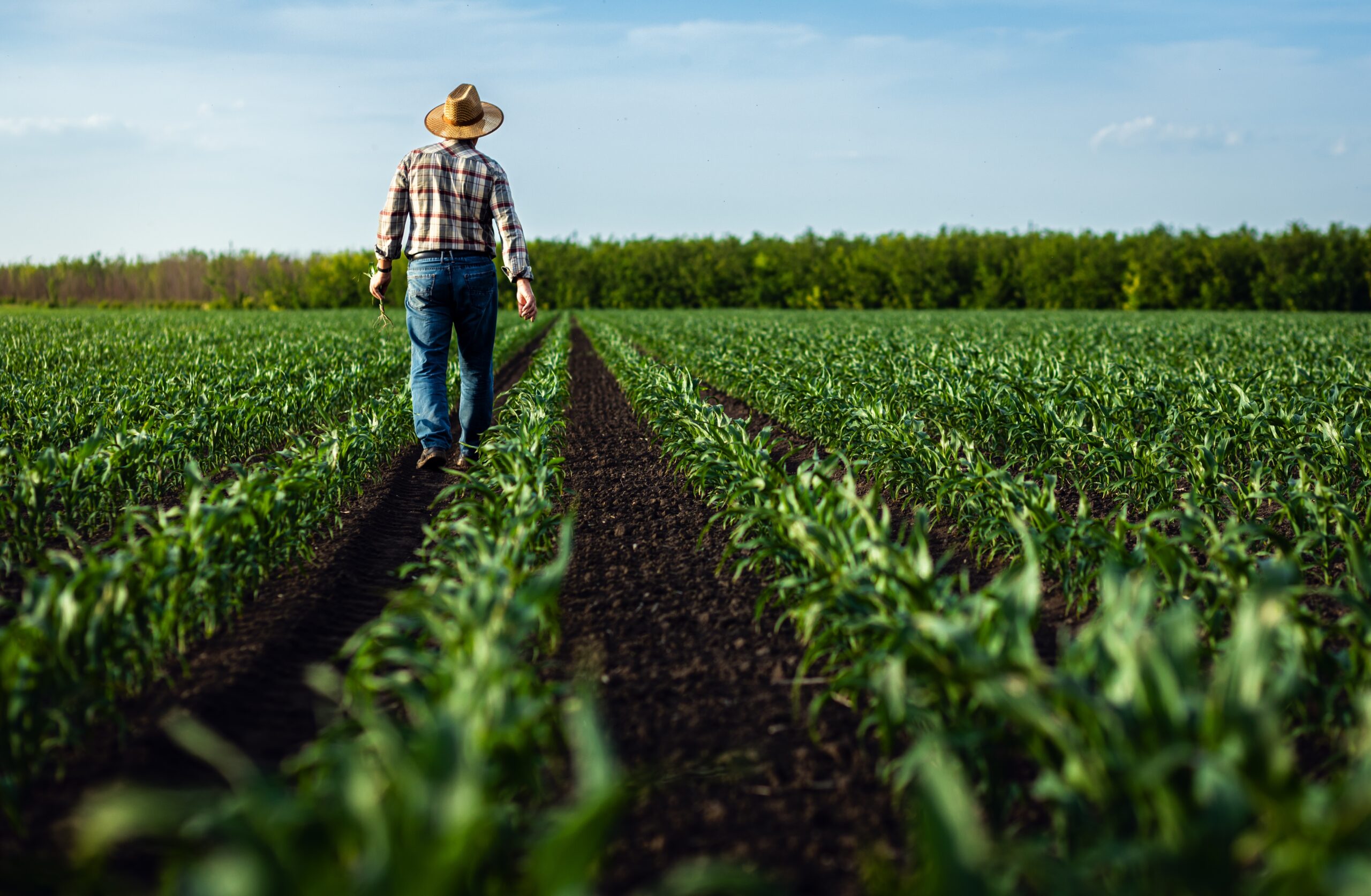 Justice Department Finds USDA Race- And Sex-Based Farmer Benefits ...