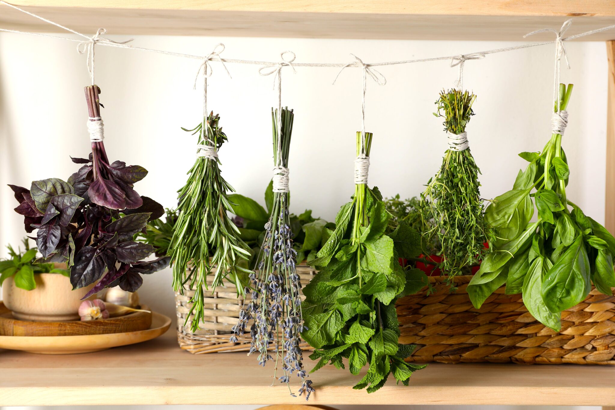 Dried Herbs Stand Out As Concentrated Magnesium Sources, Nutrient Data ...